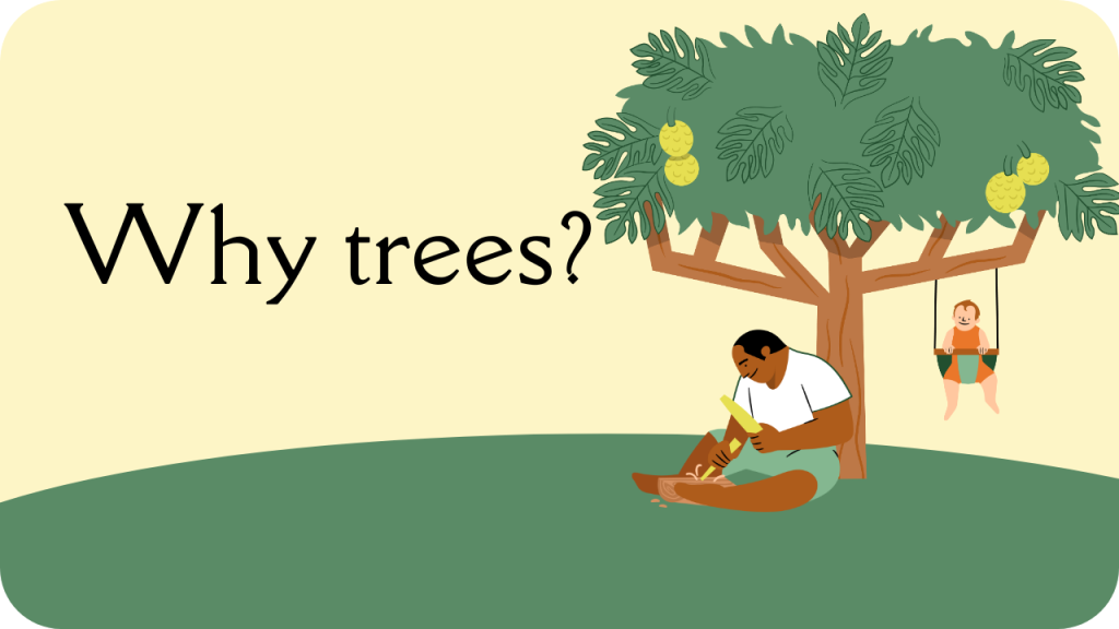 Division of Forestry and Wildlife | 2025: Year of Our Community Forests