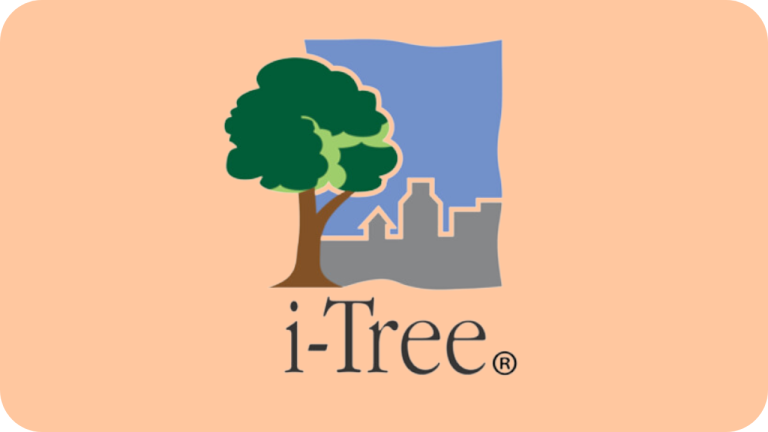 Division of Forestry and Wildlife | 2025: Year of Our Community Forests