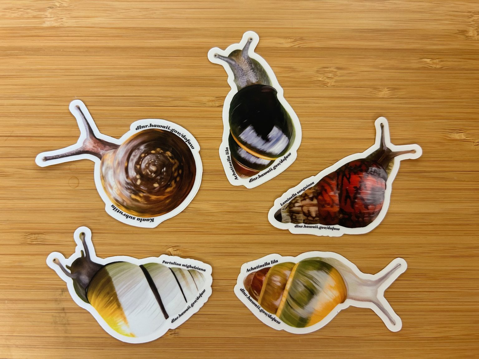 Division of Forestry and Wildlife | Education