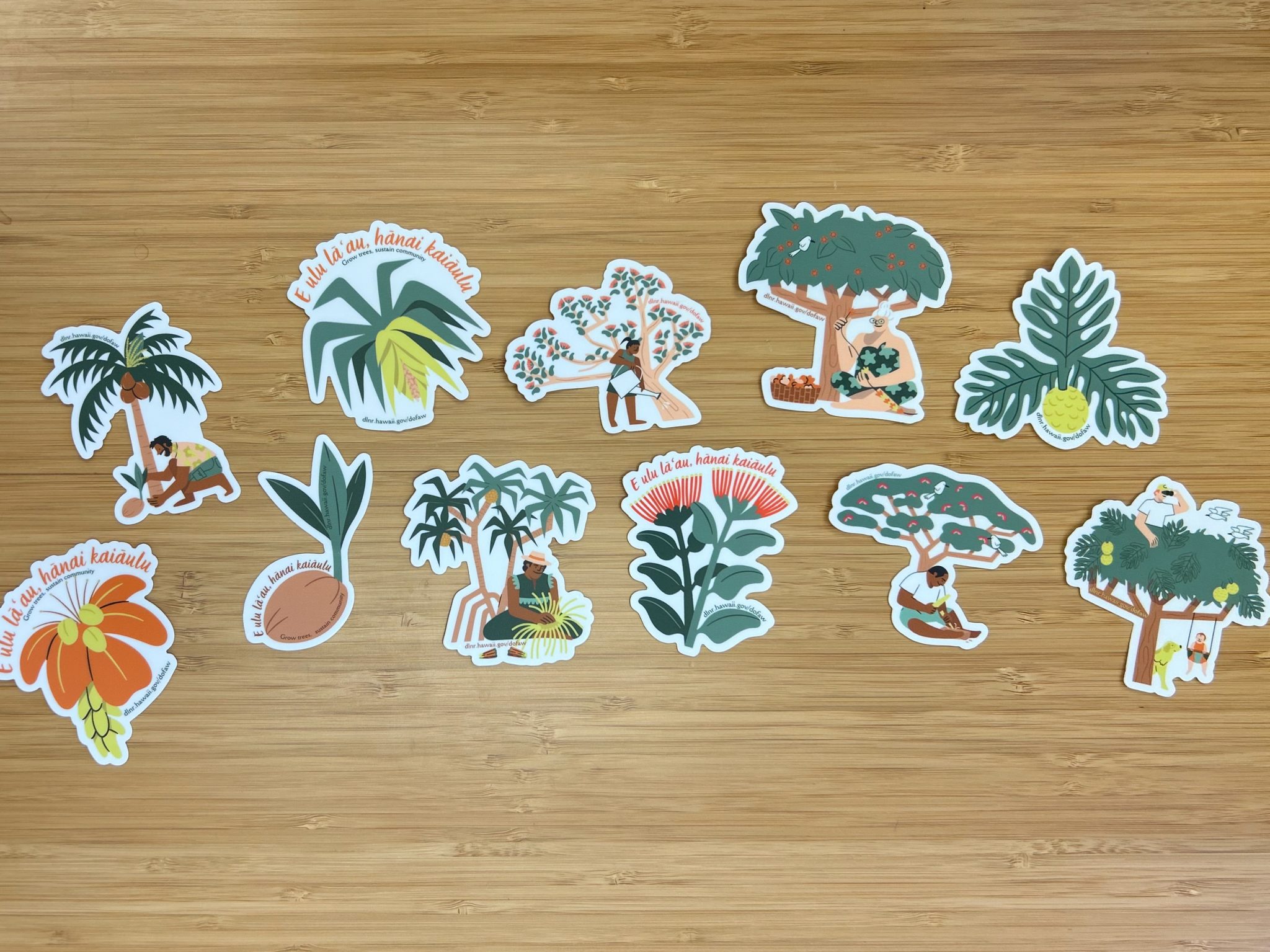 Division of Forestry and Wildlife | Education