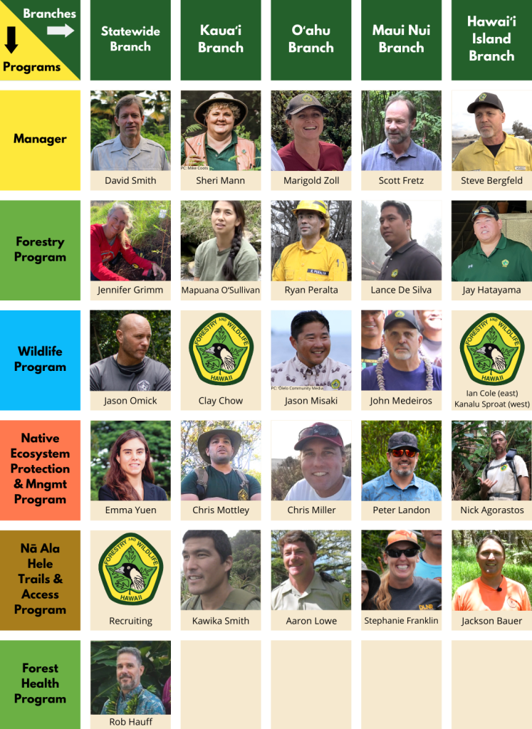 Division of Forestry and Wildlife | About Us