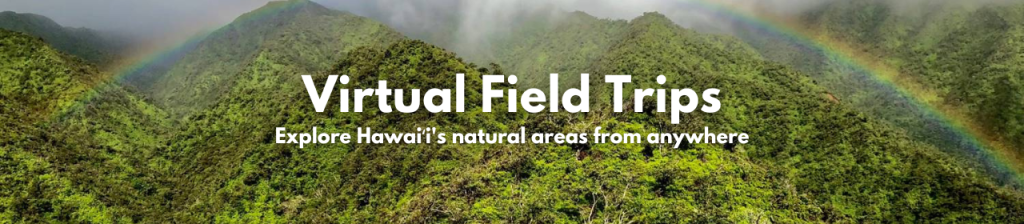 Division of Forestry and Wildlife | Virtual Field Trips