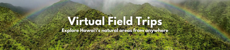 Division of Forestry and Wildlife | Virtual Field Trips