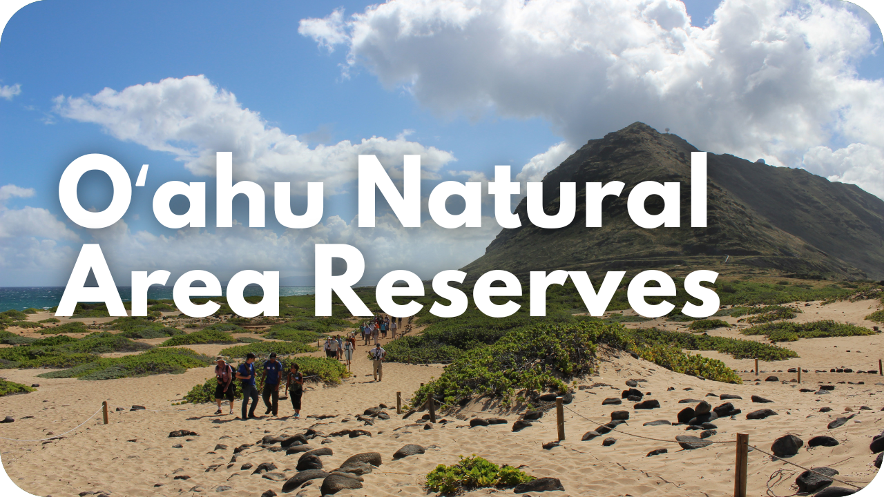 Division of Forestry and Wildlife | Oʻahu Forestry & Wildlife