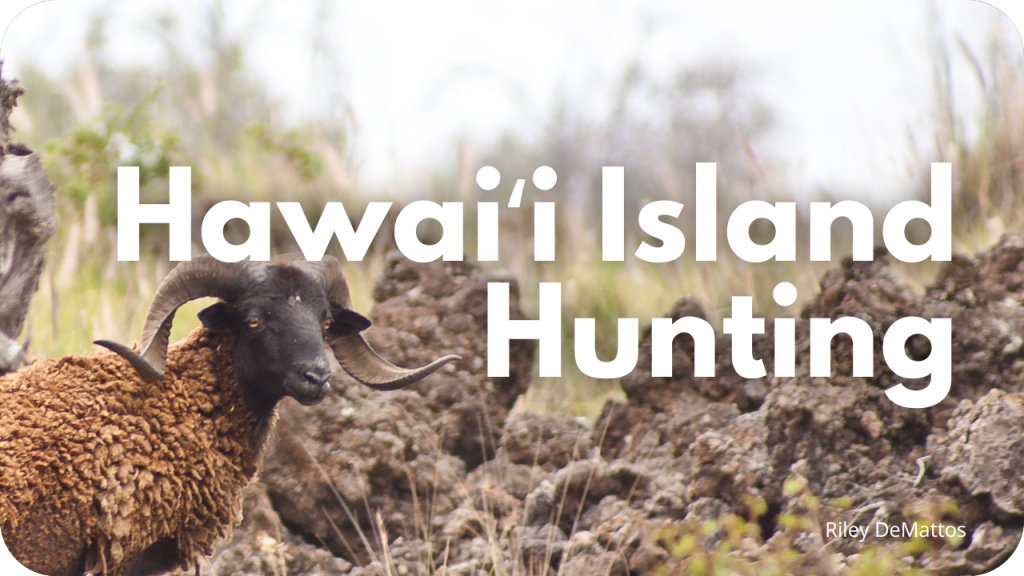 Division of Forestry and Wildlife | Hawaiʻi Island Forestry & Wildlife