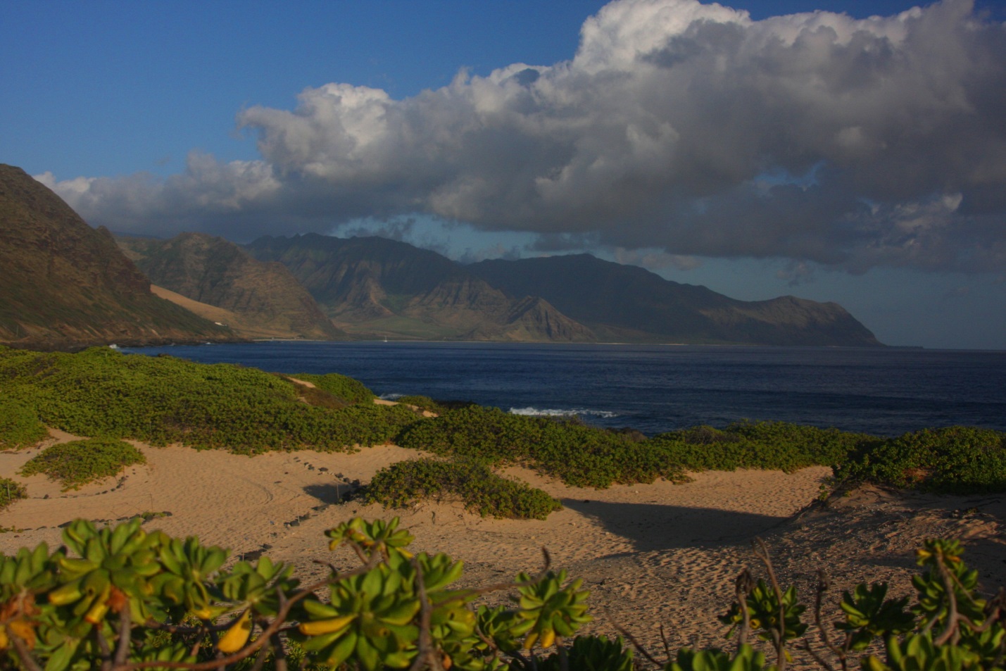 Division of Forestry and Wildlife: Native Ecosystems Protection ...