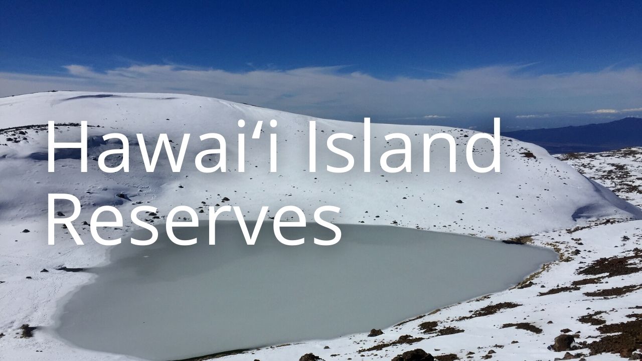 Division of Forestry and Wildlife: Native Ecosystems Protection ...