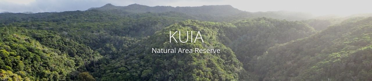 Division of Forestry and Wildlife: Native Ecosystems Protection ...