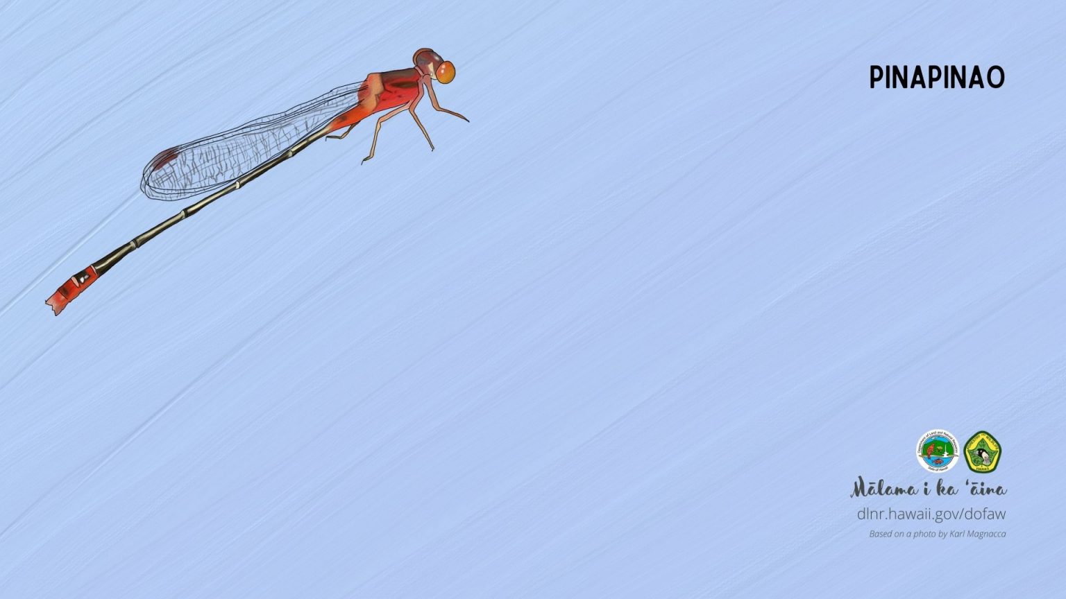 Division of Forestry and Wildlife: Native Ecosystems Protection ...