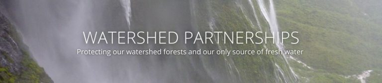 Division of Forestry and Wildlife: Native Ecosystems Protection ...