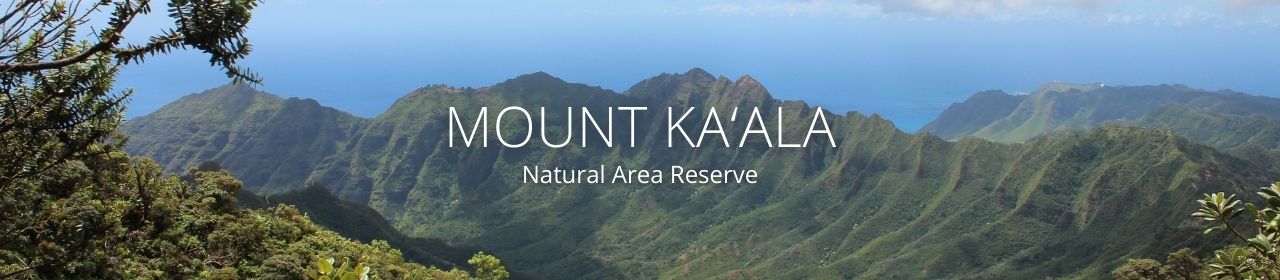 Division of Forestry and Wildlife: Native Ecosystems Protection ...