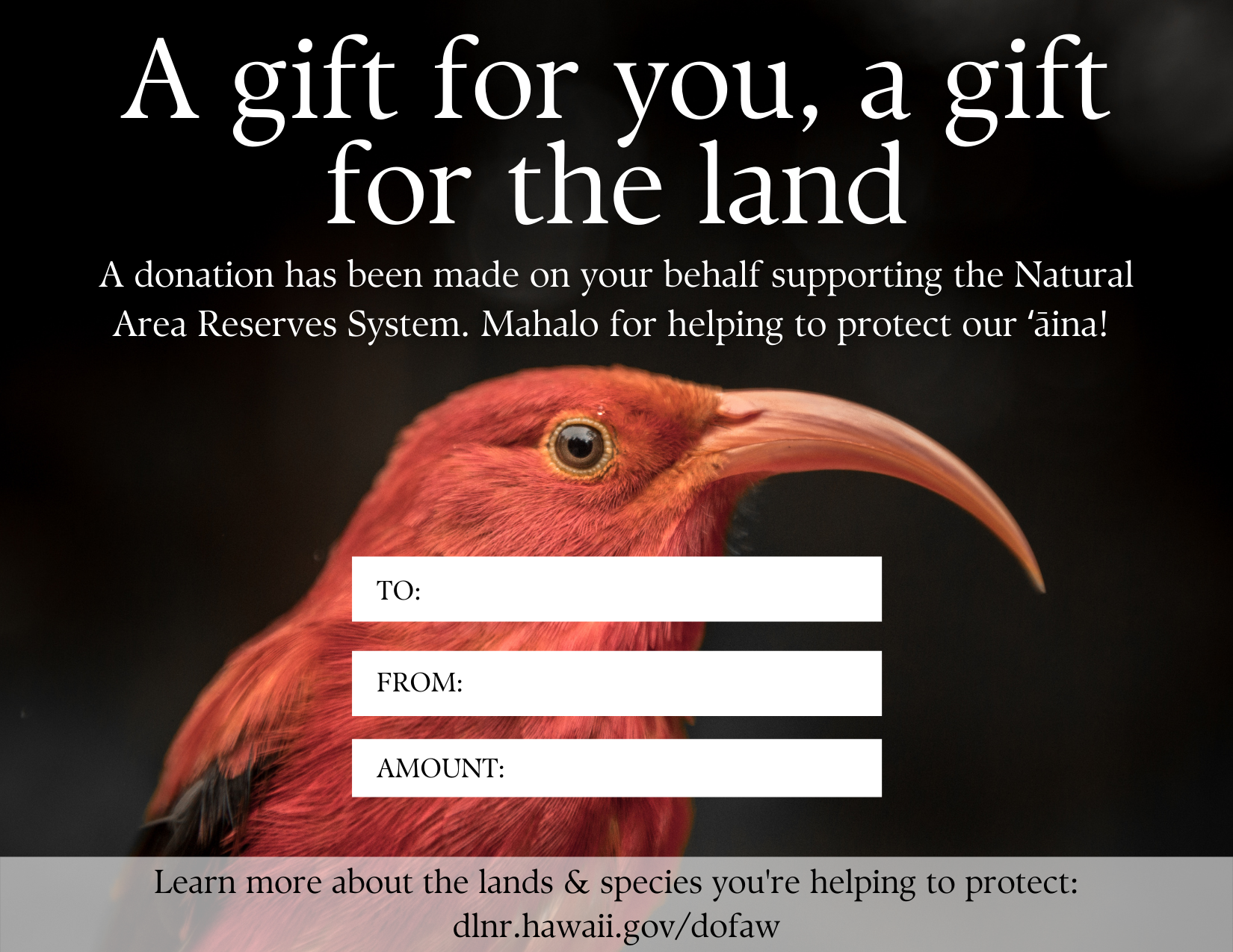 Division of Forestry and Wildlife: Native Ecosystems Protection ...