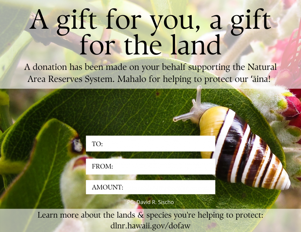 Division of Forestry and Wildlife: Native Ecosystems Protection ...