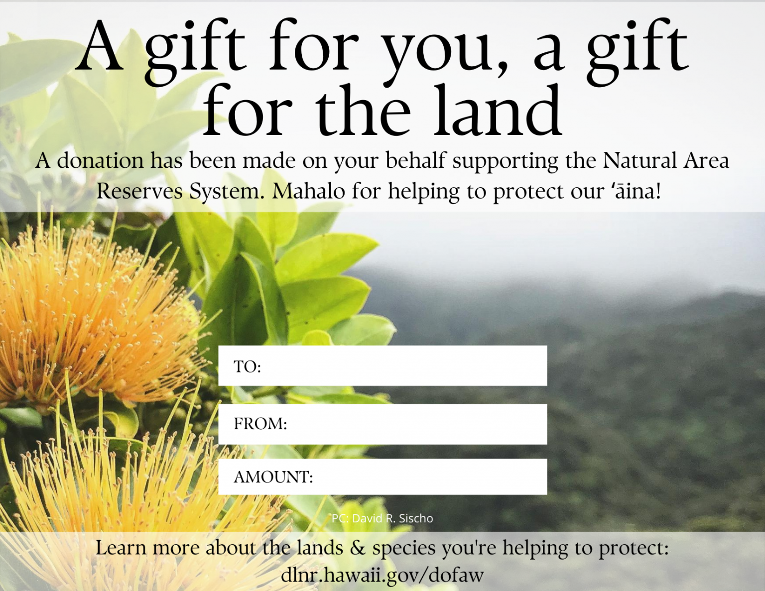 Division of Forestry and Wildlife: Native Ecosystems Protection ...