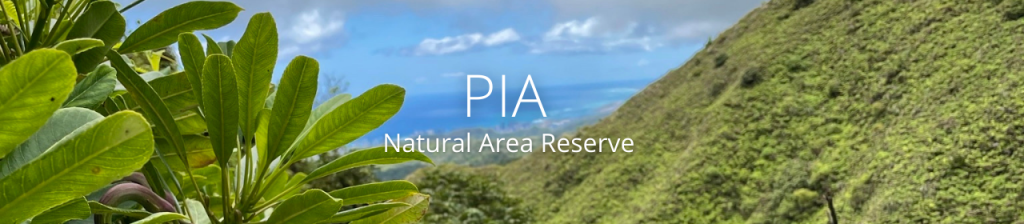 Division of Forestry and Wildlife: Native Ecosystems Protection ...