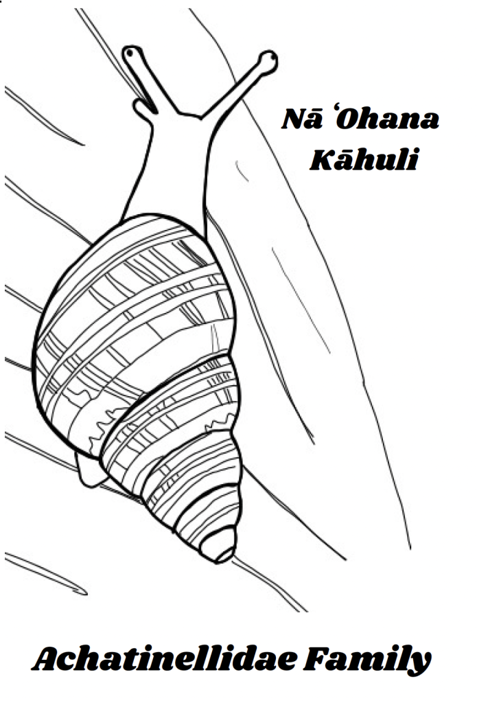 Division of Forestry and Wildlife: Native Ecosystems Protection ...