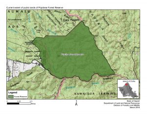 Division of Forestry and Wildlife: Forestry Program | Pūpūkea Forest ...