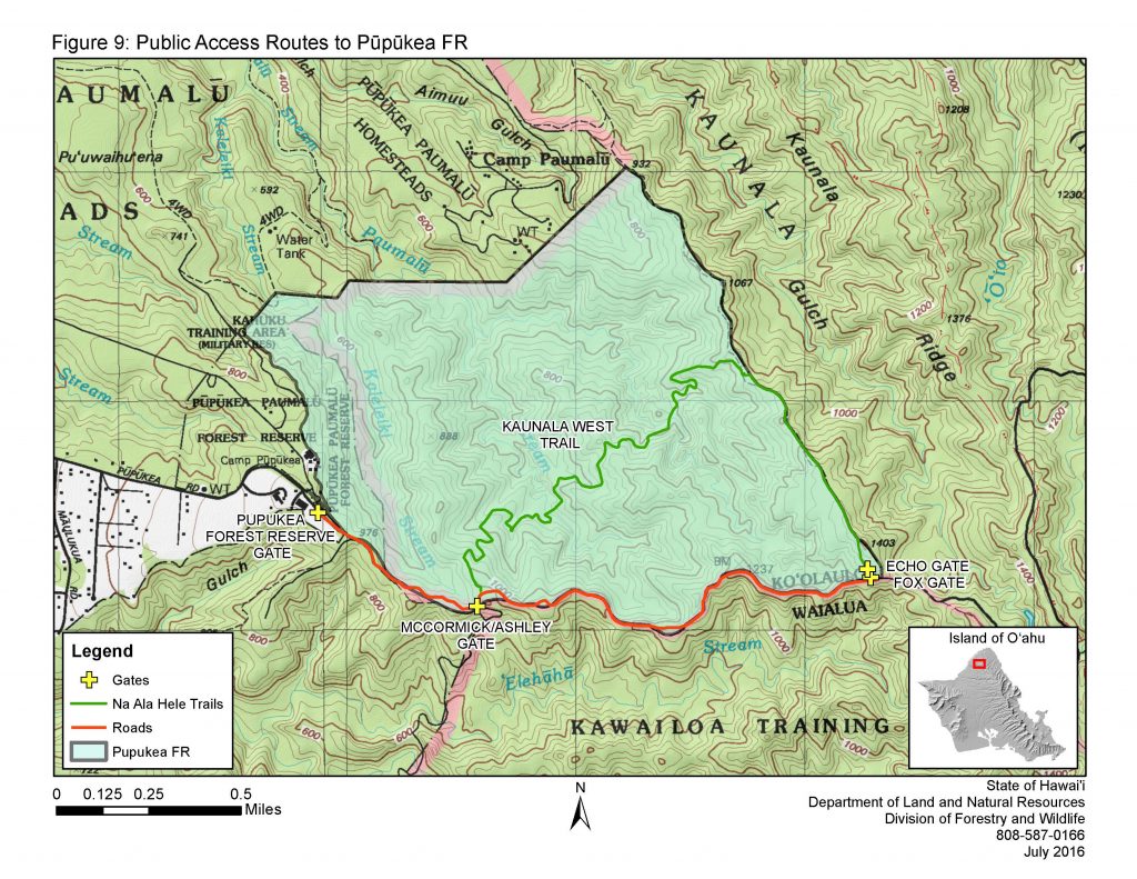 Division of Forestry and Wildlife: Forestry Program | Pūpūkea Forest ...
