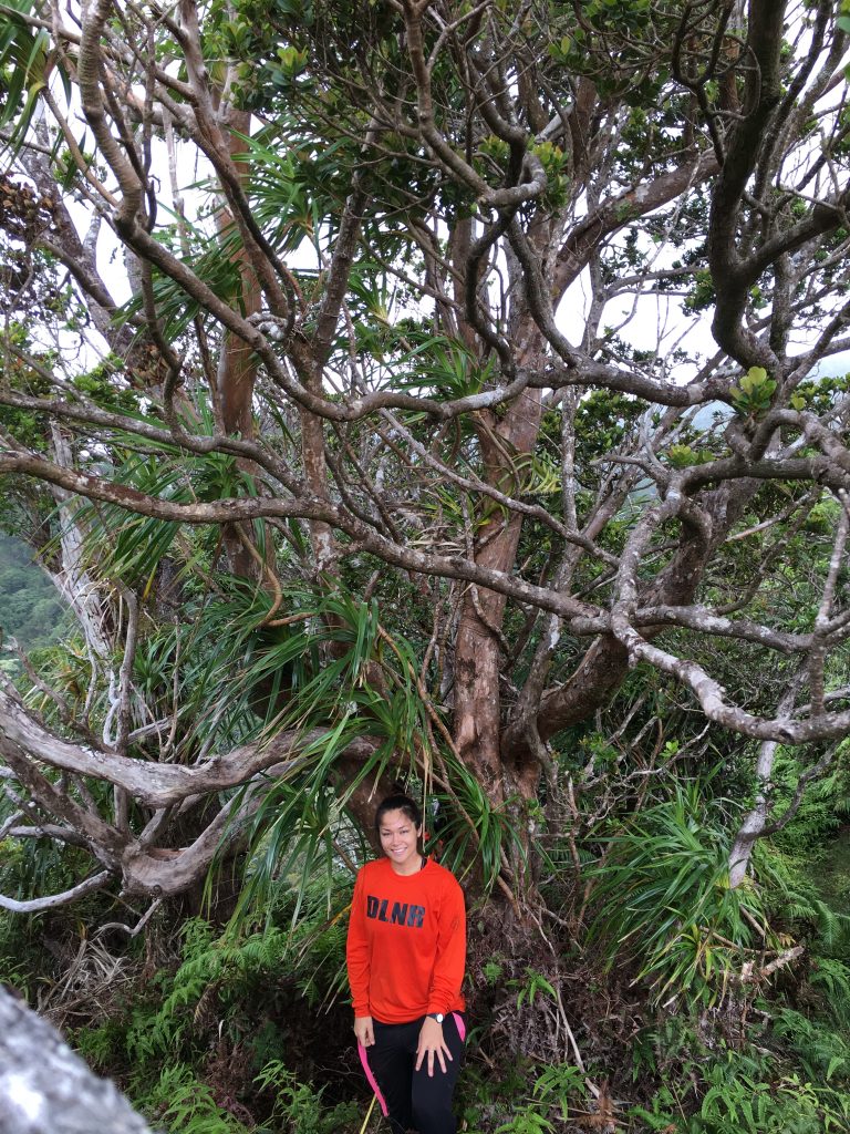 Division of Forestry and Wildlife: Forestry Program | Big Tree: ʻŌhiʻa ha