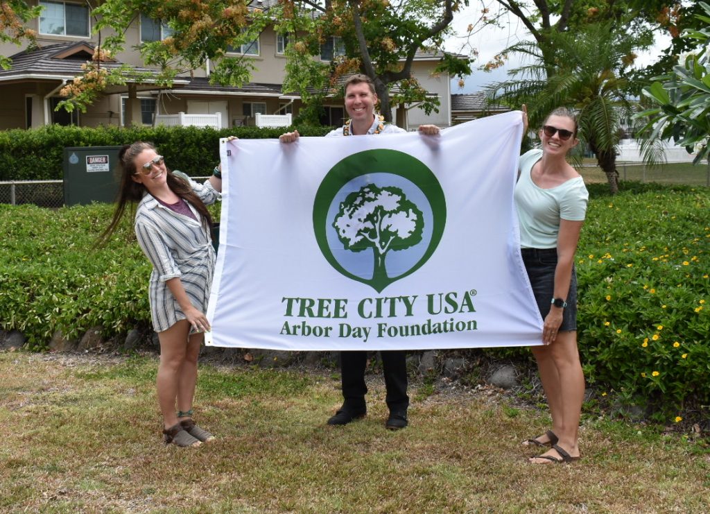 Division of Forestry and Wildlife: Forestry Program | Tree City & Tree ...