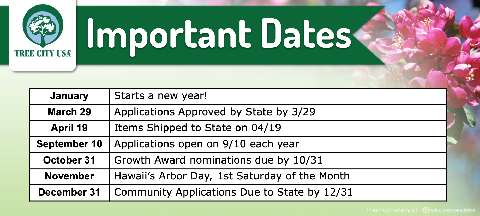 Forestry Programs | Tree City USA and Tree Campus Program