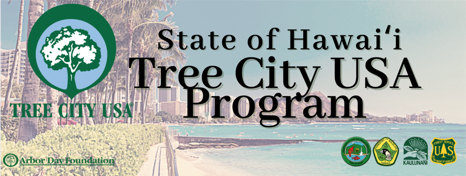 Division of Forestry and Wildlife: Forestry Program | Tree City USA and ...