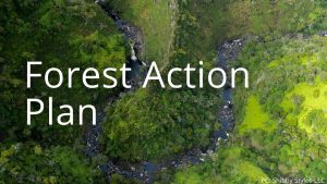 Division of Forestry and Wildlife: Forestry Program