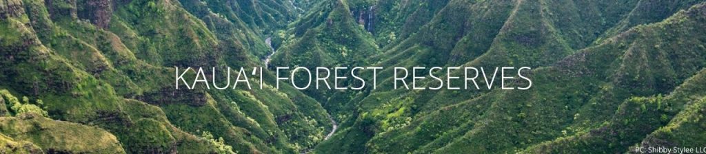 Kaua‘i Forest Reserves – Division of Forestry and Wildlife: Forestry ...