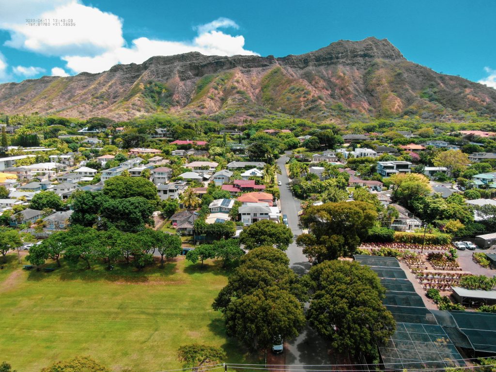 Division of Forestry and Wildlife: Forestry Program | Tree Canopy ...