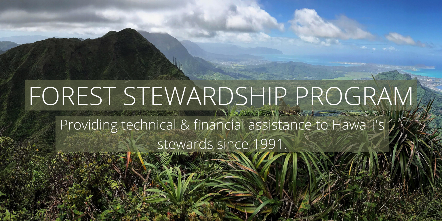Division of Forestry and Wildlife: Forestry Program | Hawai‘i Forest ...