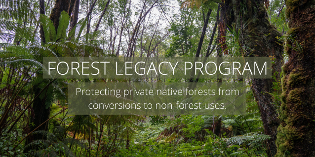 Division of Forestry and Wildlife: Forestry Program | Hawai‘i Forest ...