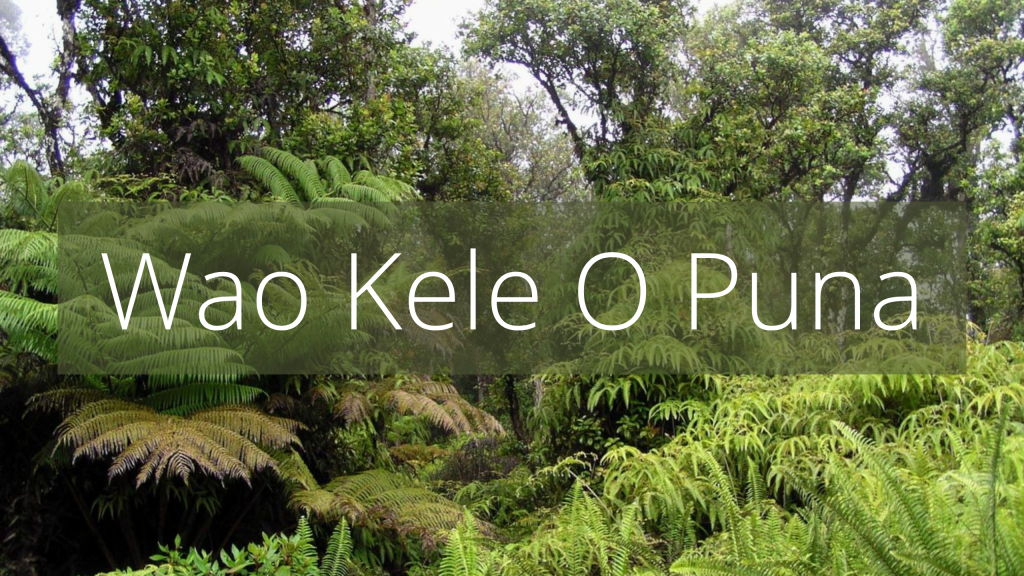 Division of Forestry and Wildlife: Forestry Program | Forest Legacy ...