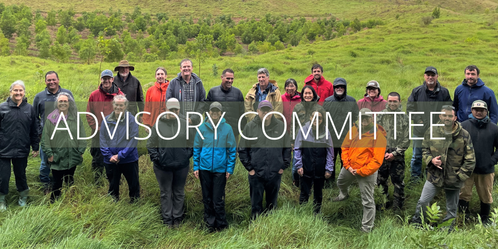 Division of Forestry and Wildlife: Forestry Program | Forest ...