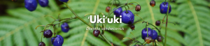 Division of Forestry and Wildlife: Forestry Program | ʻUkiʻuki