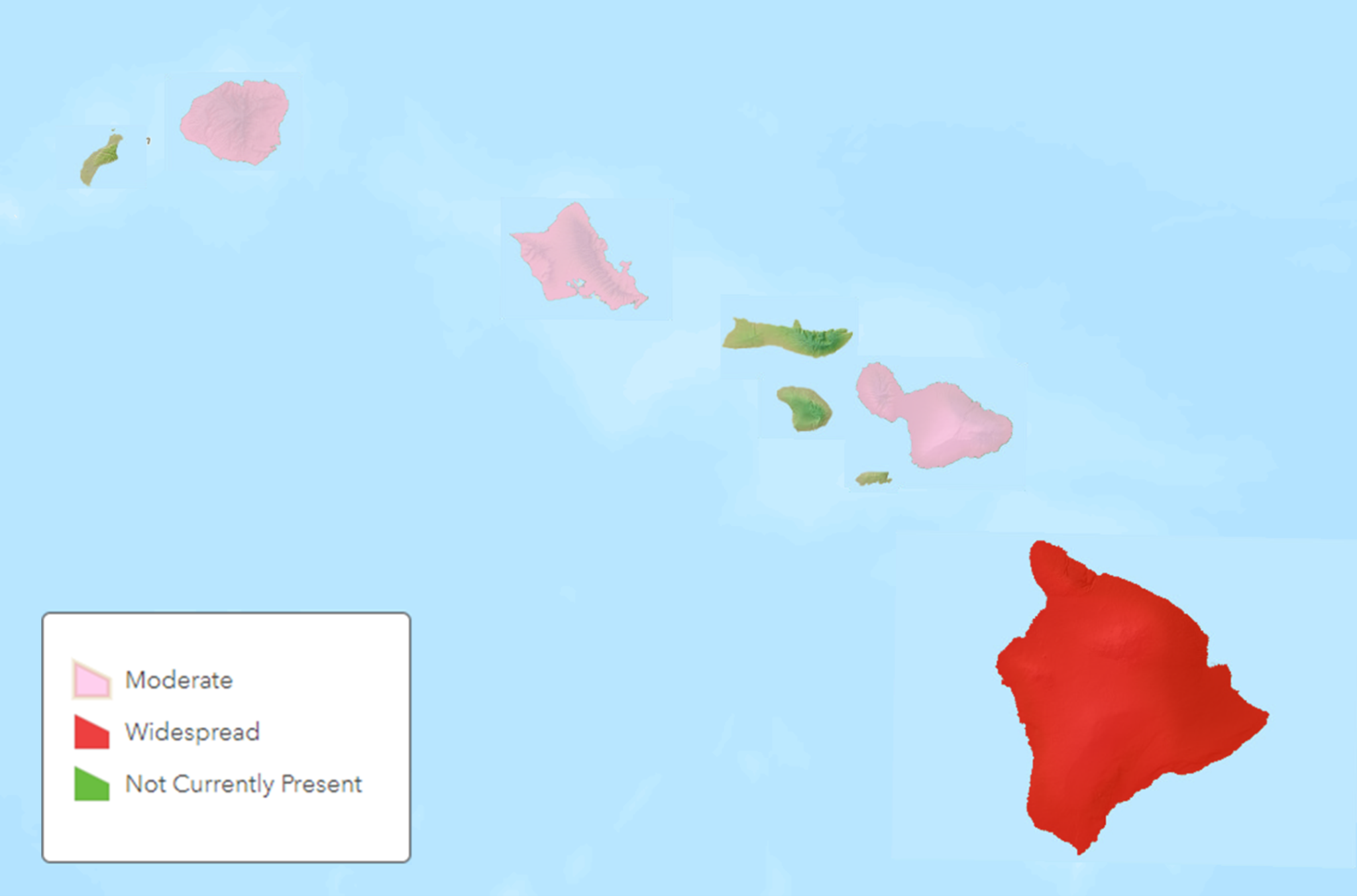 Hawaii Invasive Species Council | Miconia