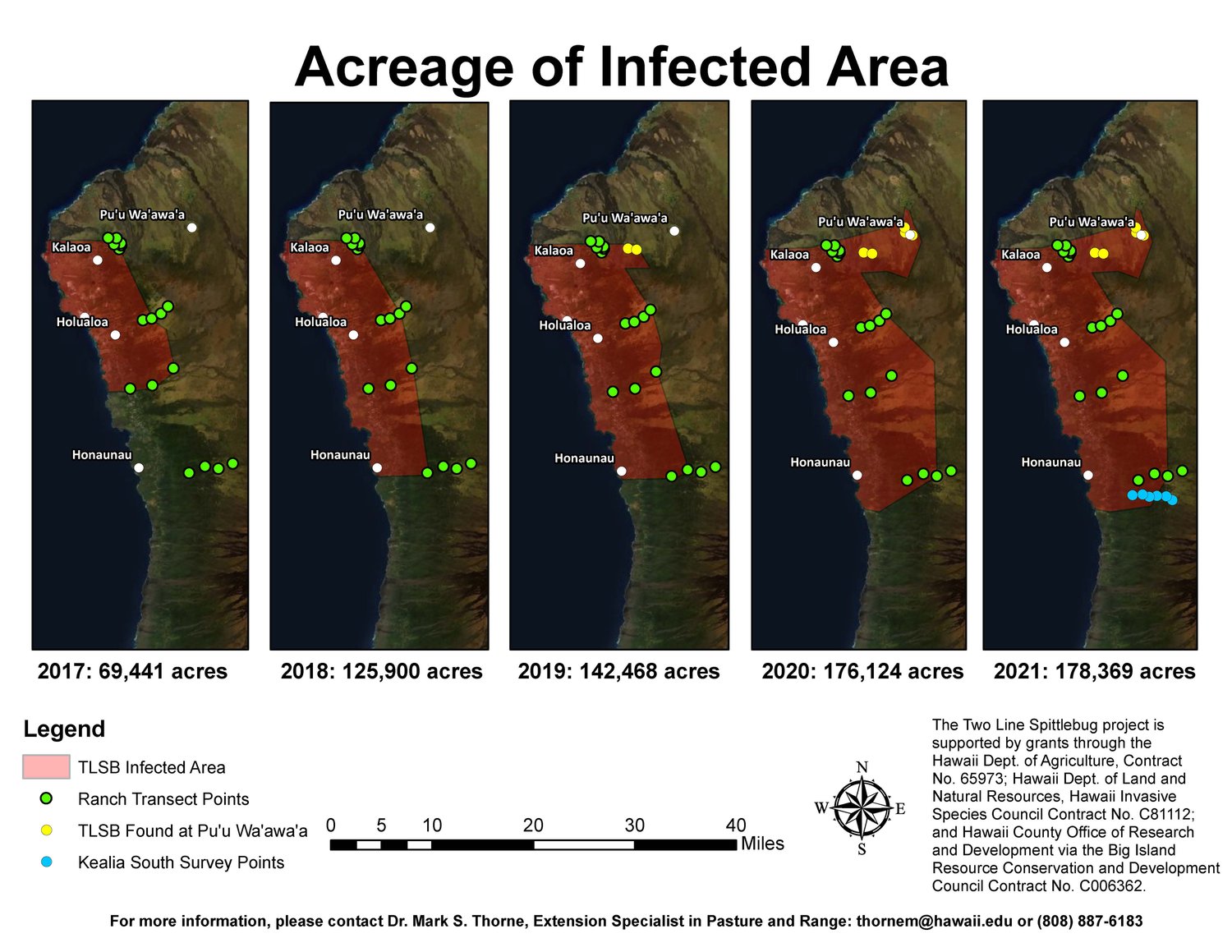 Hawaii Invasive Species Council | Two-lined spittlebug (TLSB)