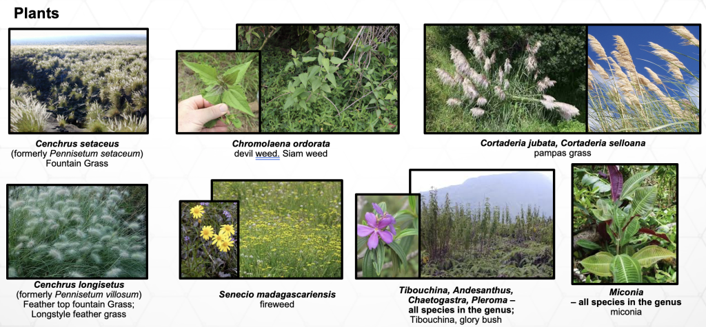 Hawaii Invasive Species Council | HISC Administrative Rules