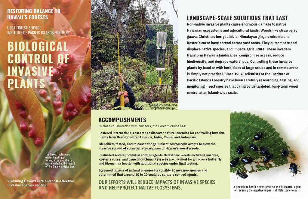 Biocontrol Hawaii | Hawaii Invasive Species Council