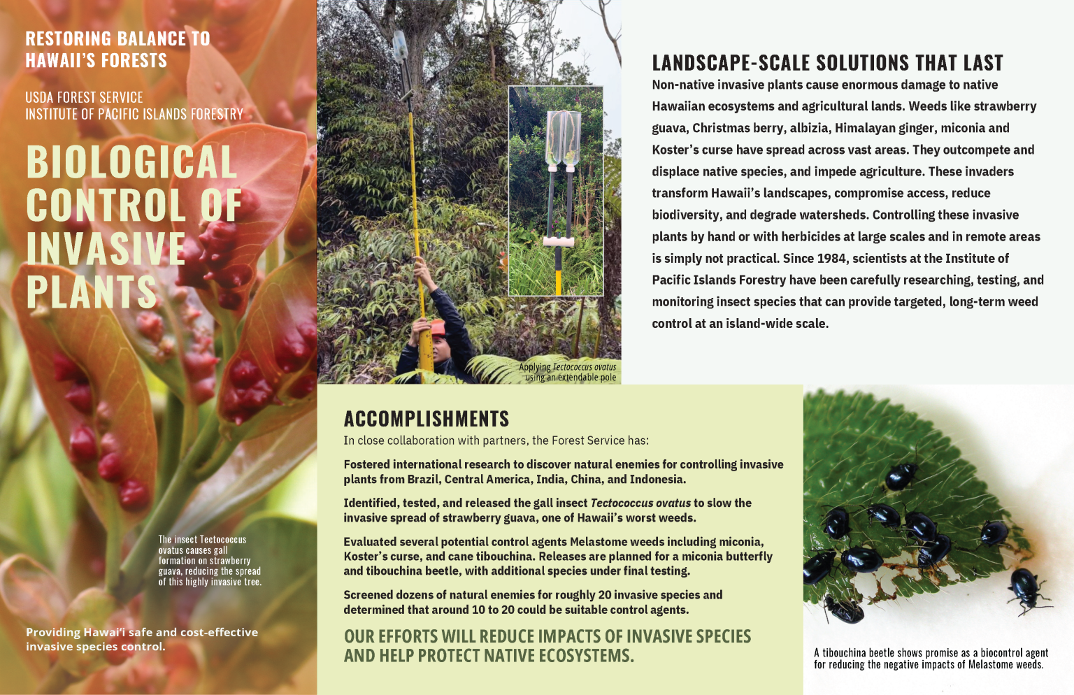 Biocontrol Hawaii | Hawaii Invasive Species Council