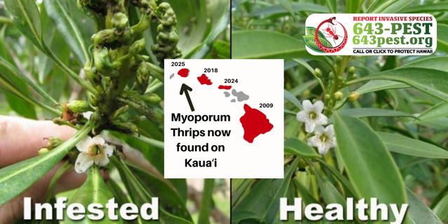 Hawaii Invasive Species Council - Cabinet-level direction on invasive ...