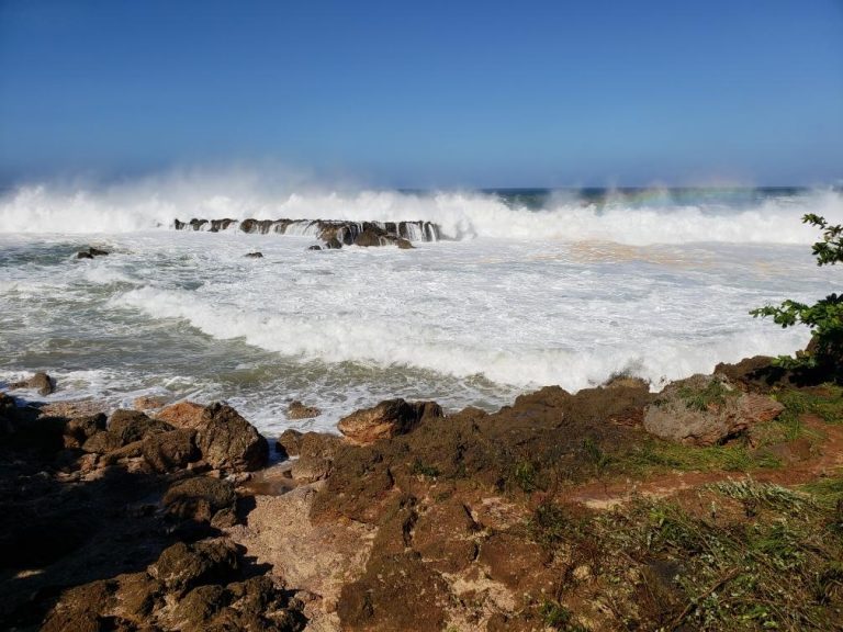 Holomua Marine Initiative | Pūpūkea Marine Life Conservation District ...