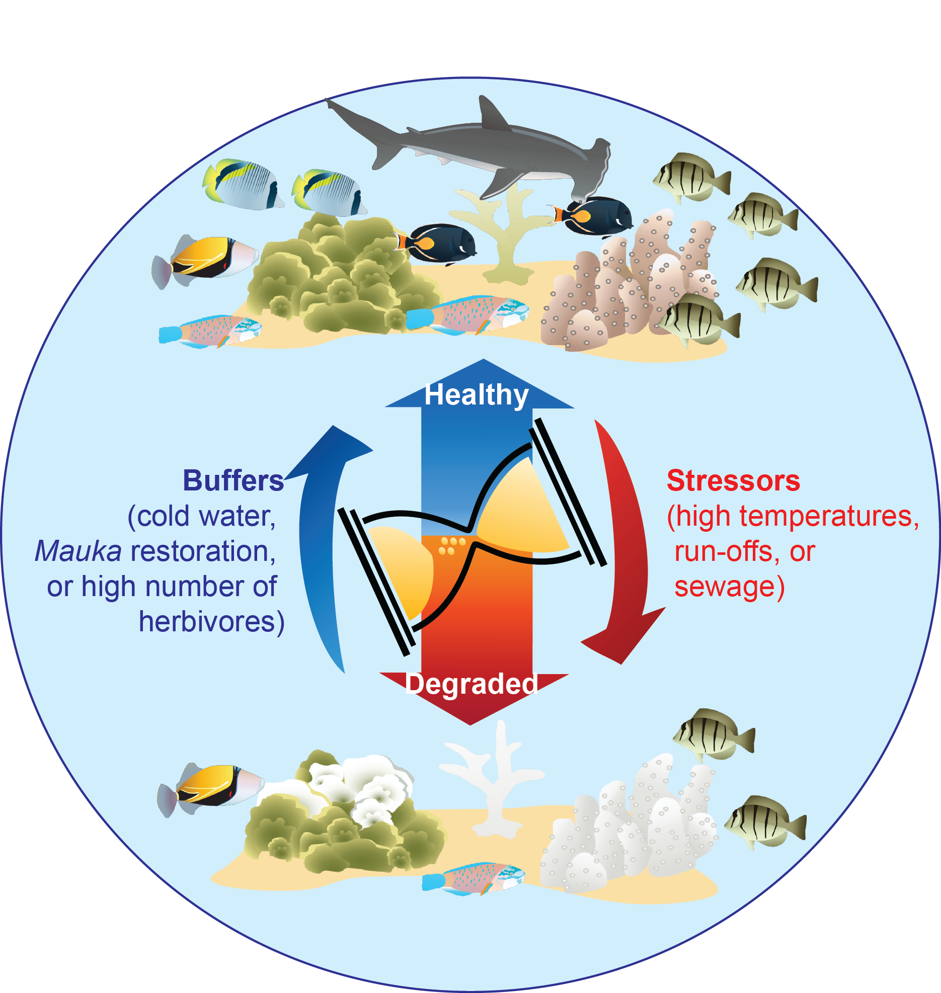 Holomua Marine Initiative | Ecological Design Principles