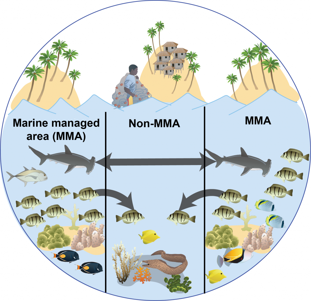 Holomua Marine Initiative | Ecological Design Principles
