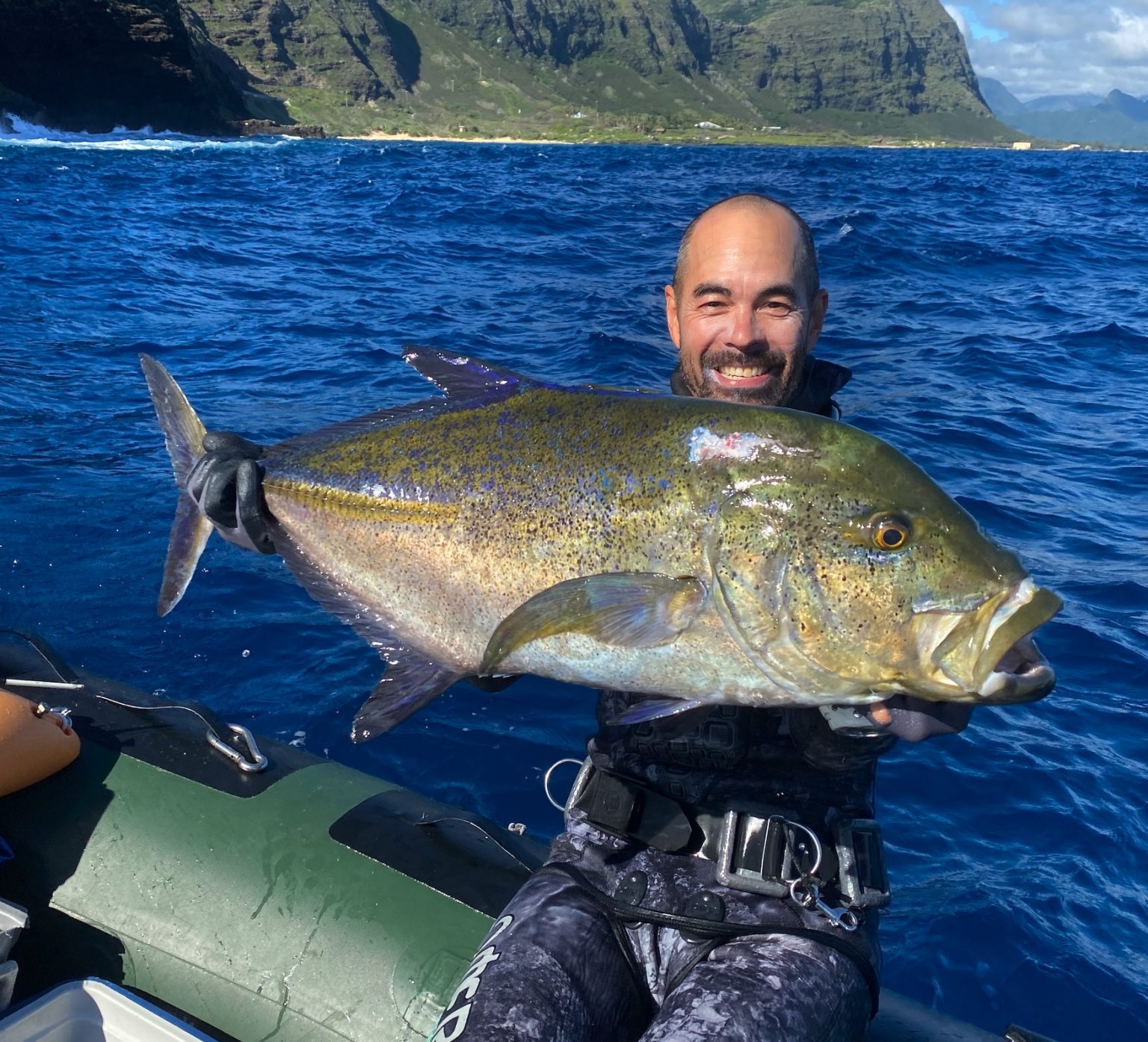 Holomua Marine Initiative | Holomua Advisory Network