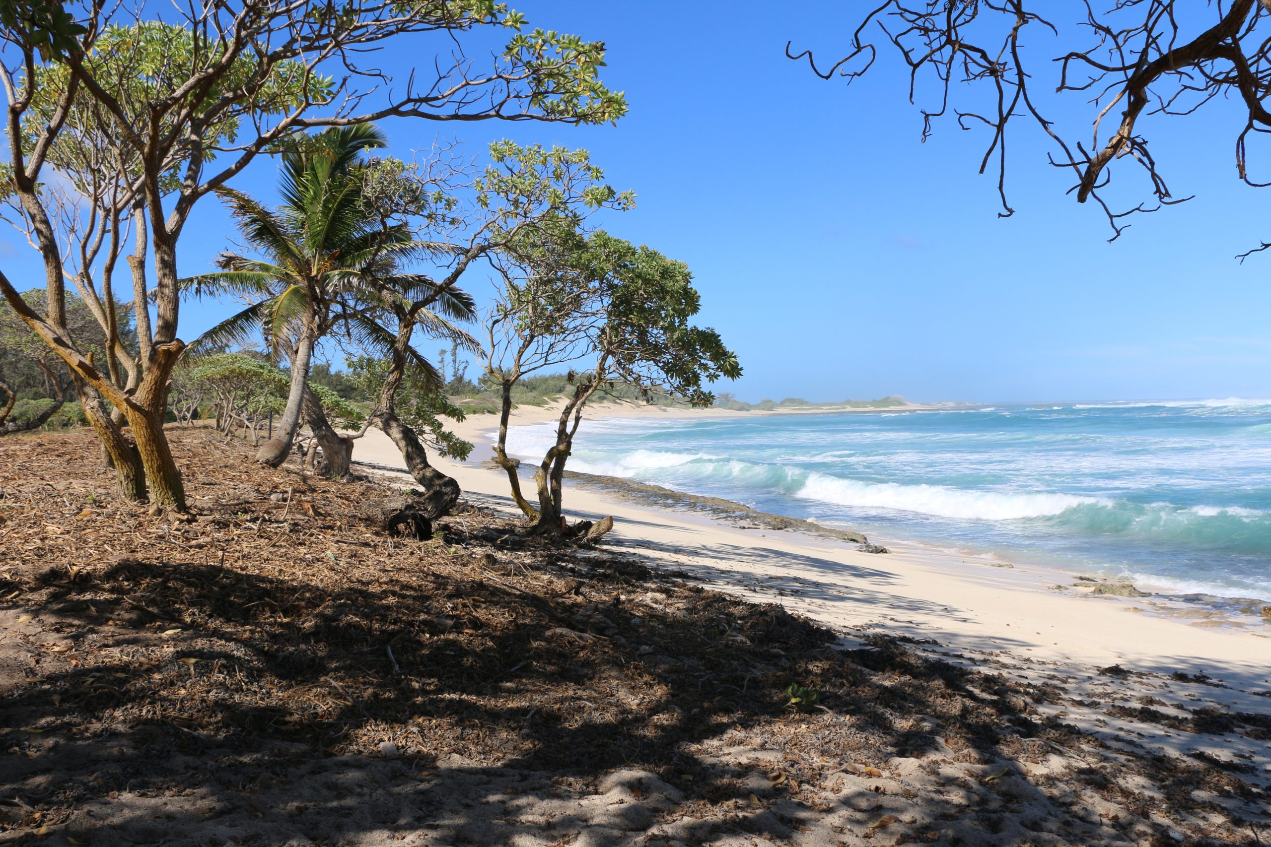 August 2024 | Office of Conservation and Coastal Lands