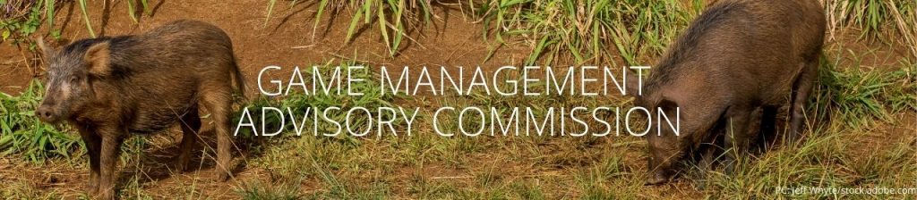 Division of Forestry and Wildlife: Outdoor Recreation | Game Management ...