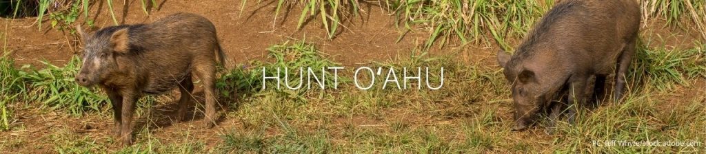 Division of Forestry and Wildlife: Outdoor Recreation | Hunt Oʻahu