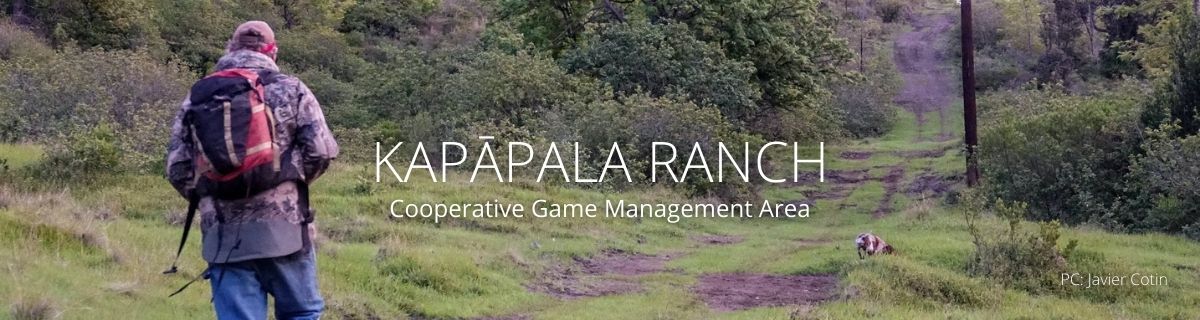Division of Forestry and Wildlife: Outdoor Recreation | Kapāpala Ranch ...