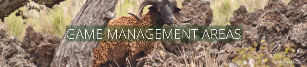 Division of Forestry and Wildlife: Outdoor Recreation | Game Management ...