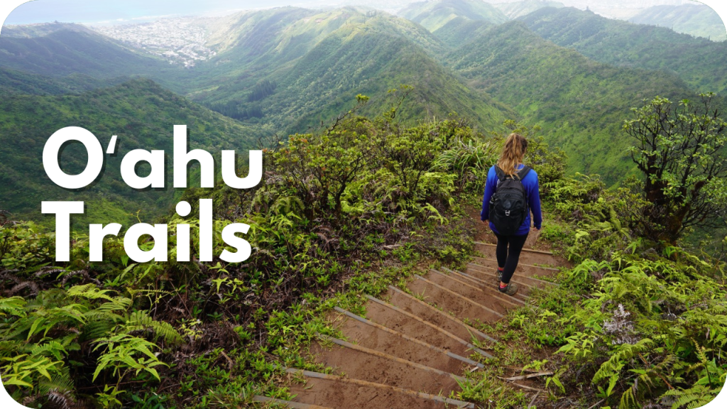 Division of Forestry and Wildlife: Outdoor Recreation | Nā Ala Hele ...